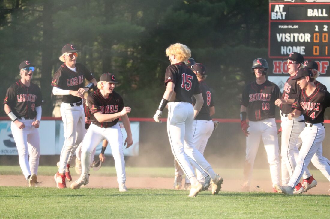 Murphy’s walk-off hit spurs Canfield to 5-4 victory over Boardman ...